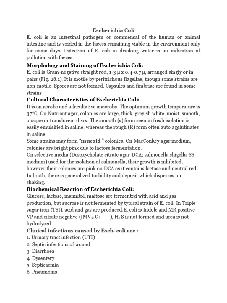 E Coli | PDF | Escherichia Coli | Diarrhea