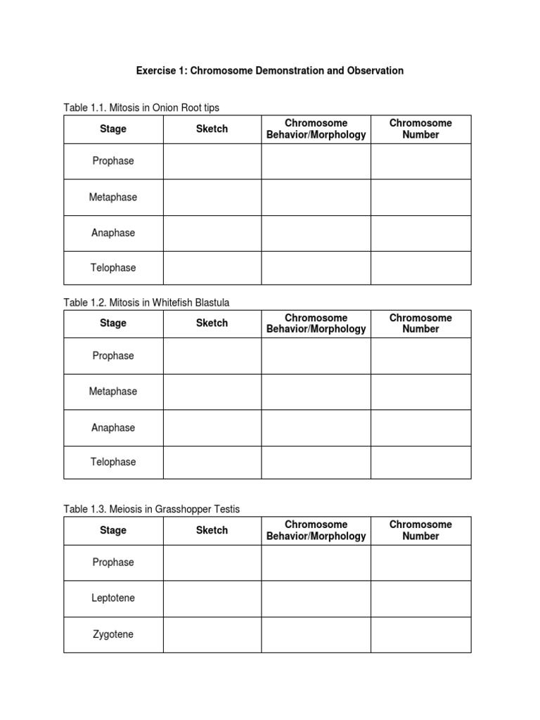 Exercise 1-3 | PDF | Meiosis | Dominance (Genetics)