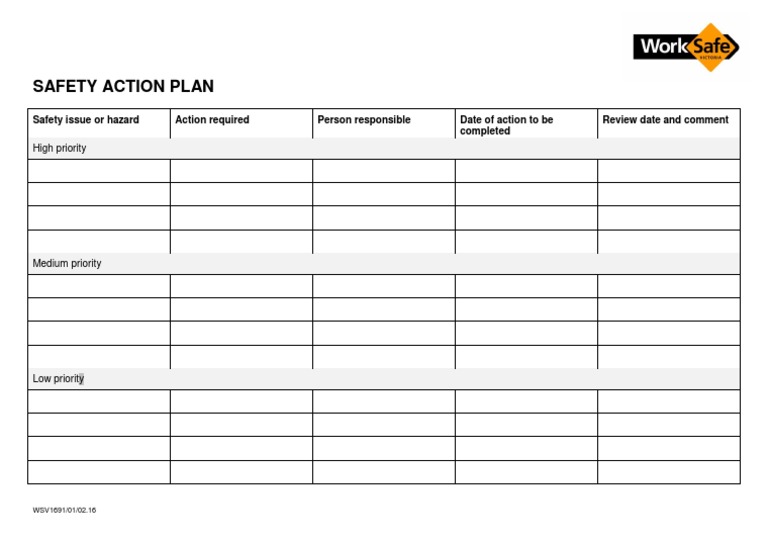 Safety Action Plan | PDF