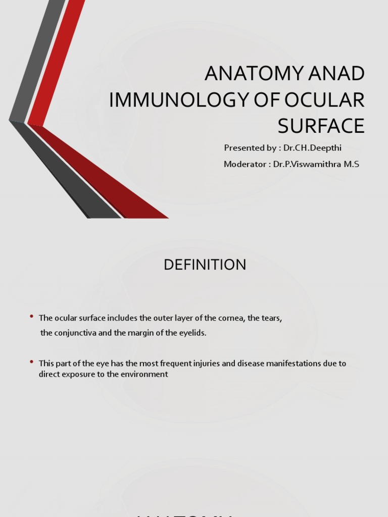 Ocular Surface Anatomy and Immunology | PDF | Epithelium | Cornea