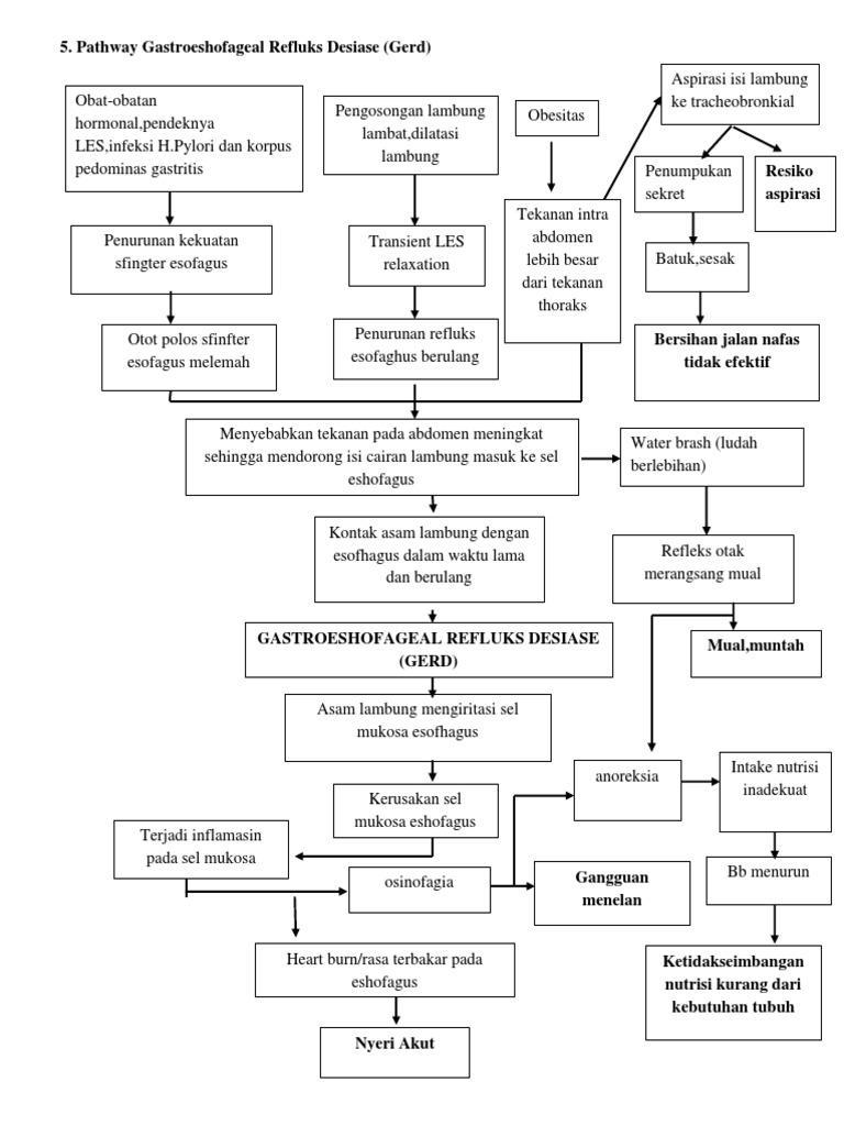 Pathway Gerd Muhlis | PDF