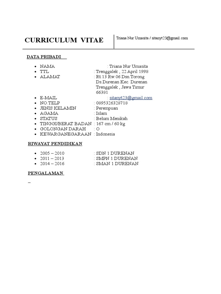 Data Pribadi CV | PDF