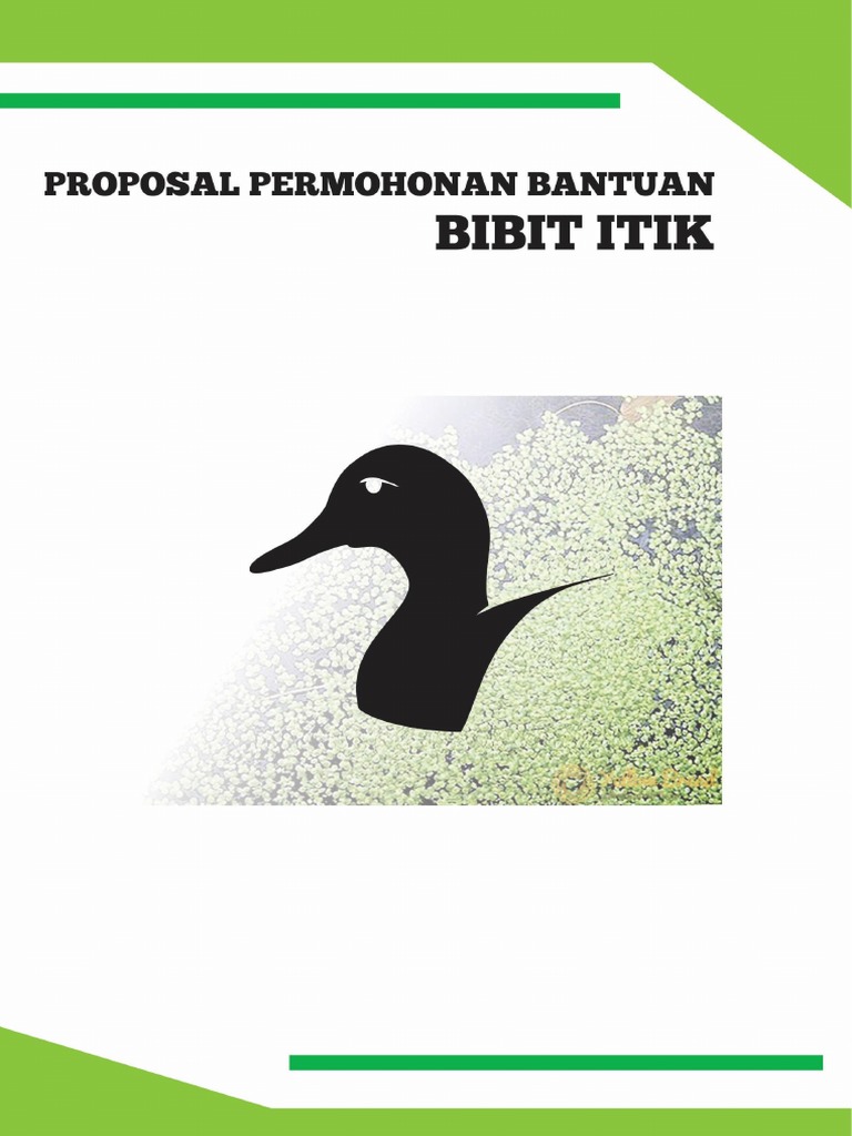 Proposal Ternak Itik di Gowa | PDF | Teknologi & Rekayasa