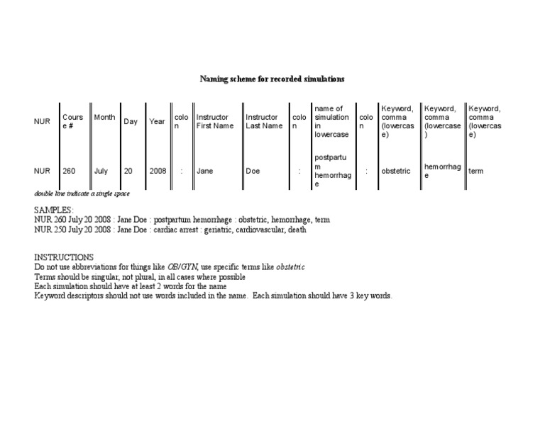Naming Scheme For Simulation Recording | PDF