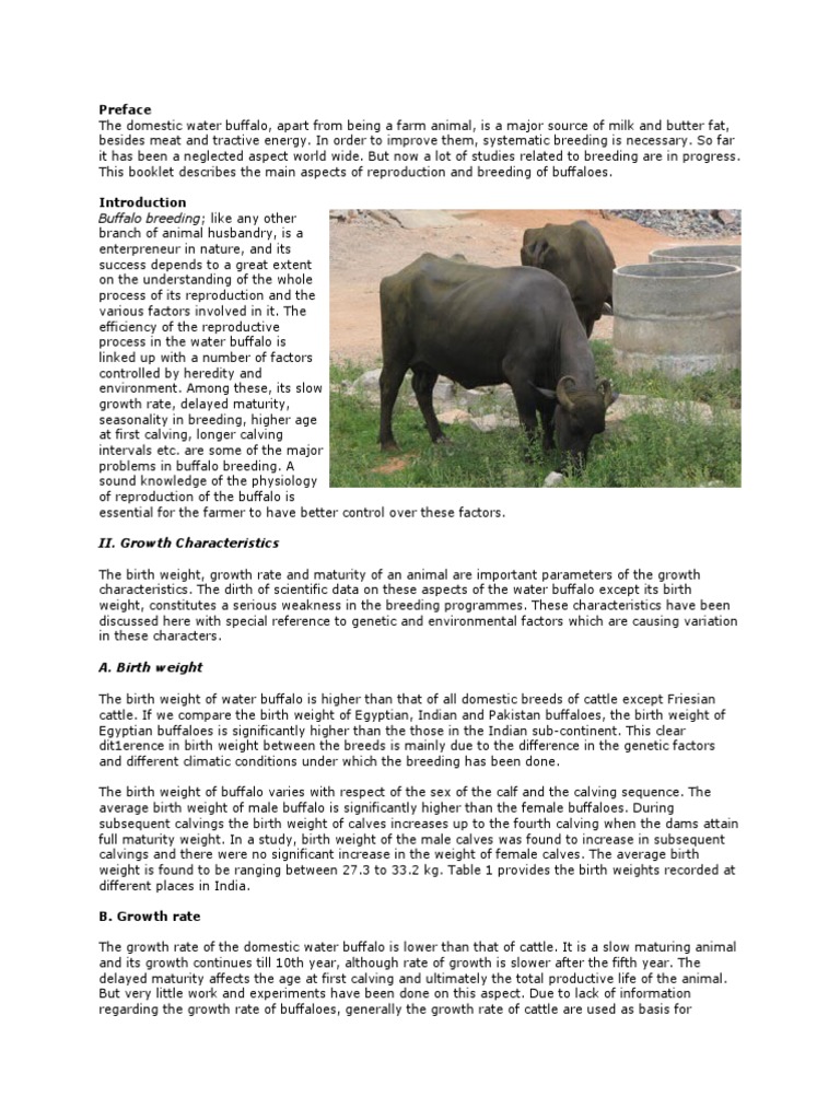 Buffalo | PDF | Cattle | Calf