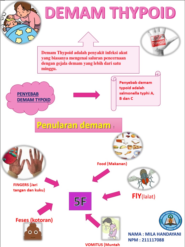 Penyebab dan Pencegahan Demam Tifoid | PDF | Kesehatan Holistik