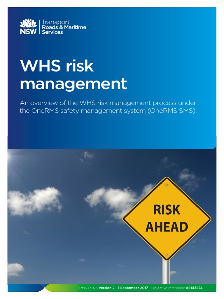 WHS Risk Management Framework Overview | PDF | Risk Management | Risk ...