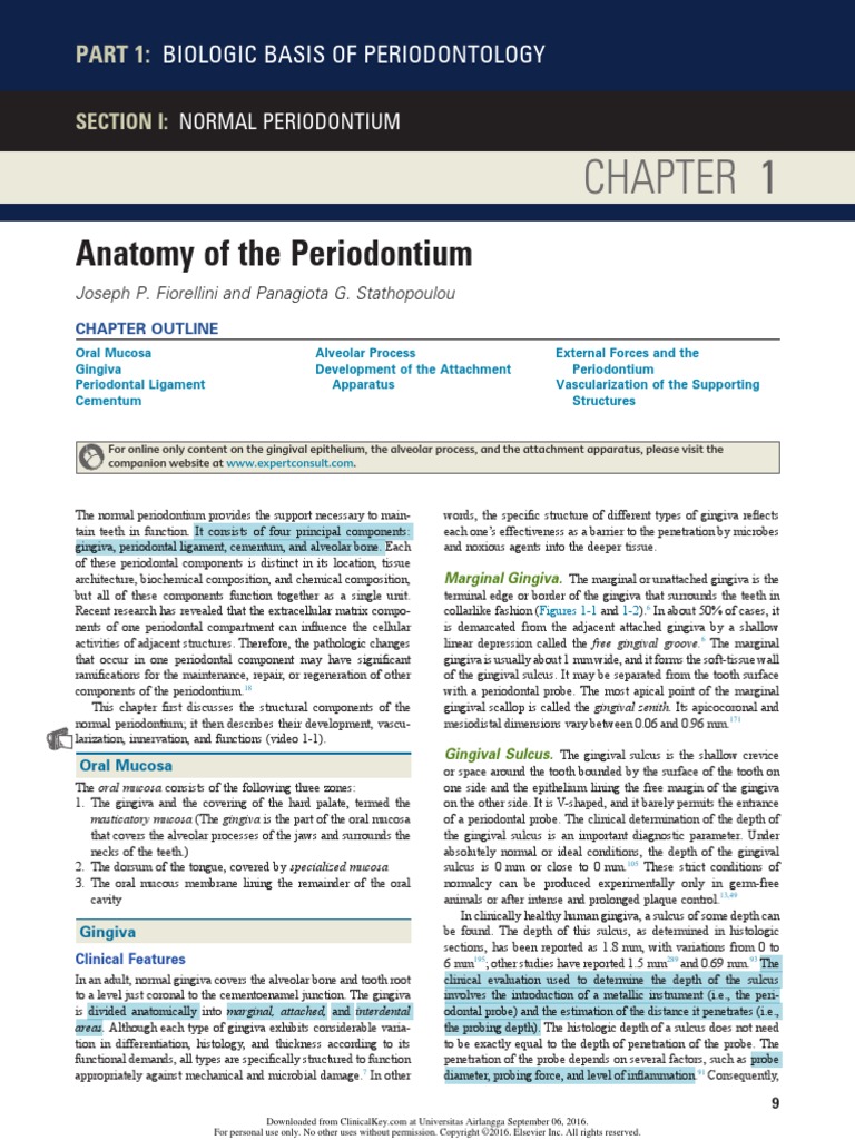 Anatomy of The Periodontium | PDF | Epithelium | Periodontology