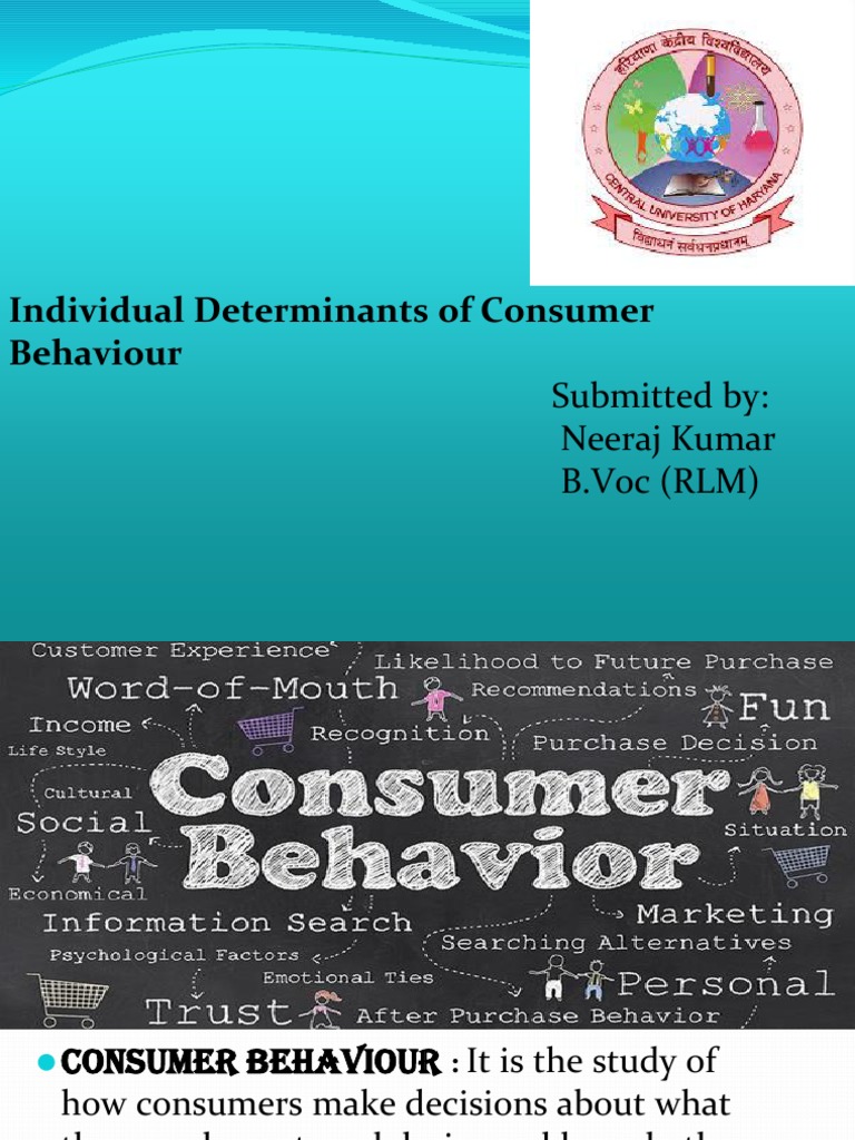 Individual Determinants of Consumer Behaviour | PDF | Consumer Behaviour | Income