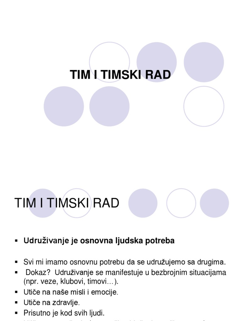 Tim I Timski Rad | PDF