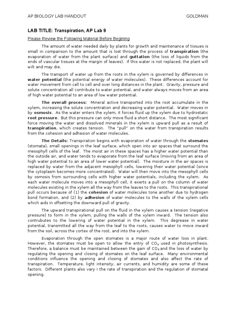 5 Transpiration Lab | PDF | Stoma | Leaf