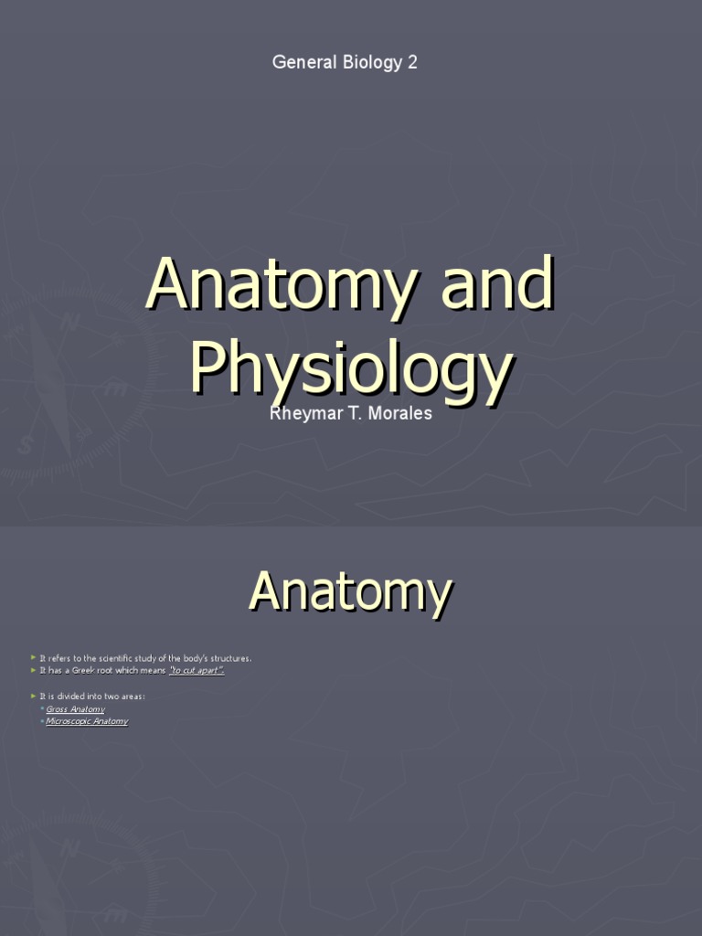 General Biology 2. Skeletal System PowerPoint | PDF | Skeleton | Human Body