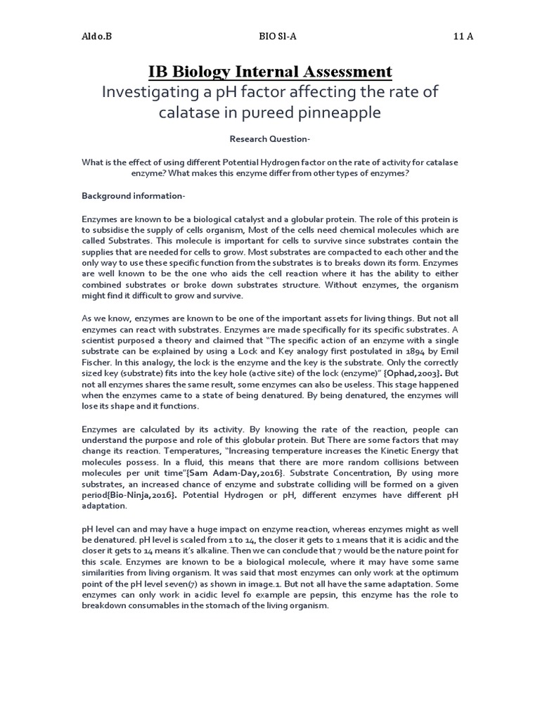 IB Biology Internal Assessment Term 3 Final | PDF | Catalase ...