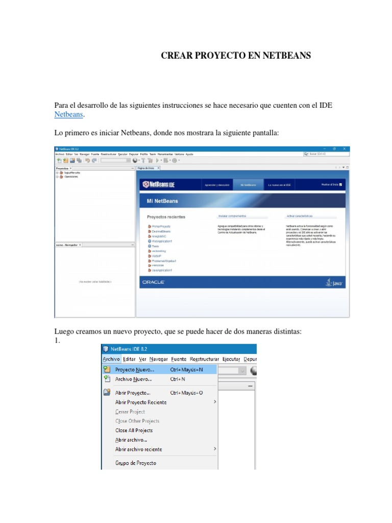 Primer Proyecto Netbeans | PDF | Frijoles Netos | Aplicaciones y software