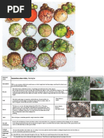 Non Bearing Fruit Trees | PDF | Trees | Botany