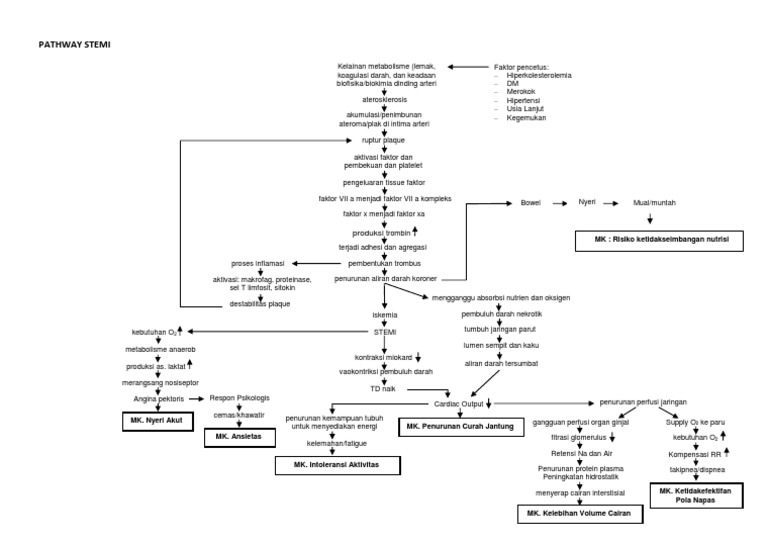 Pathway LP Terbaru Stemi Arham | PDF