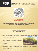 CTC Tea Production Process Overview | PDF | Tea | Leaf