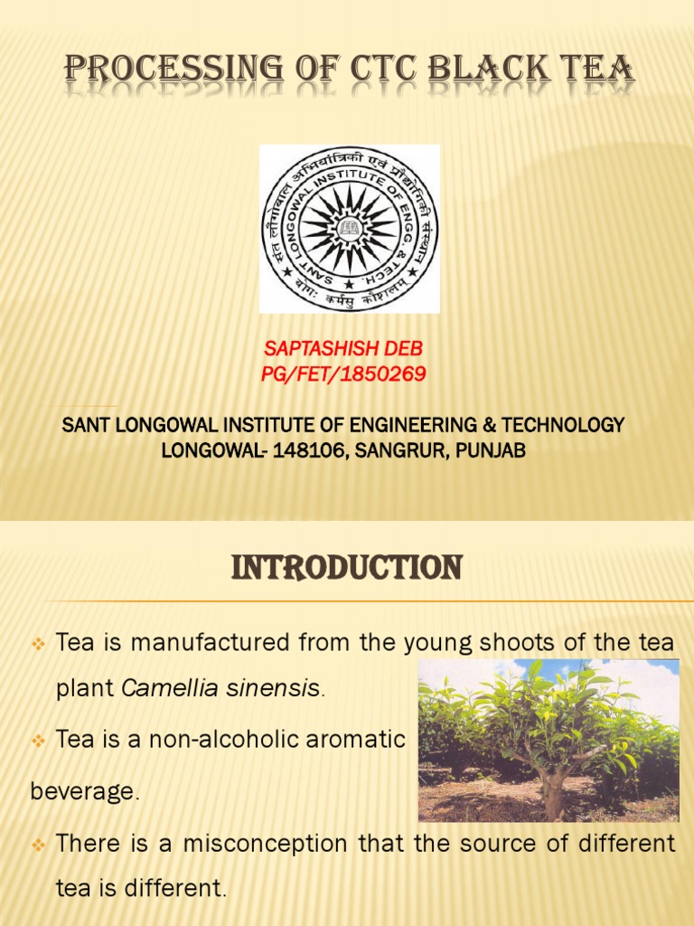 Processing of Black Tea - PPT | PDF | Clothes Dryer | Tea