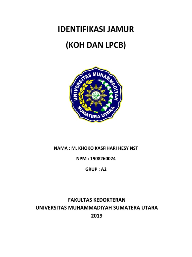 Identifikasi Jamur dengan KOH dan LPCB | PDF