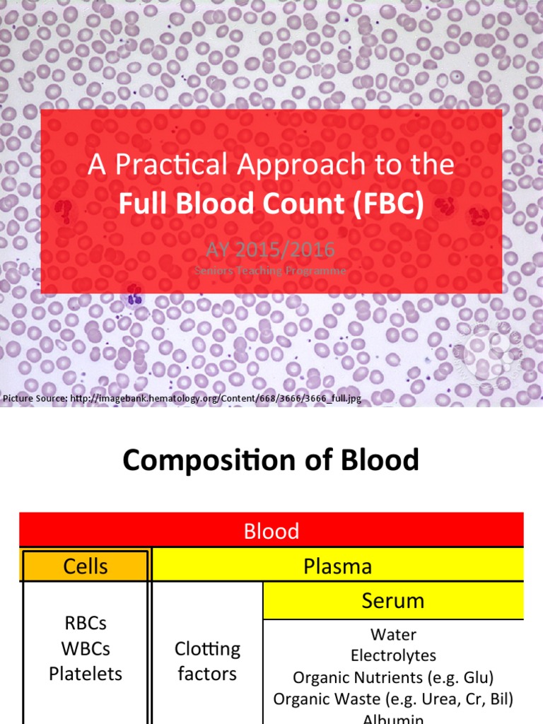 Understanding Full Blood Count (FBC) | PDF | Anemia | Coagulation