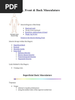 Muscle OIA | PDF | Vertebral Column | Vertebra
