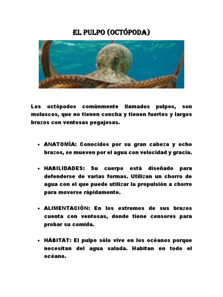 El Pulpo | PDF
