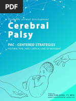 HINE Scoring Aid Version 5.6 | PDF | Preterm Birth | Pediatrics