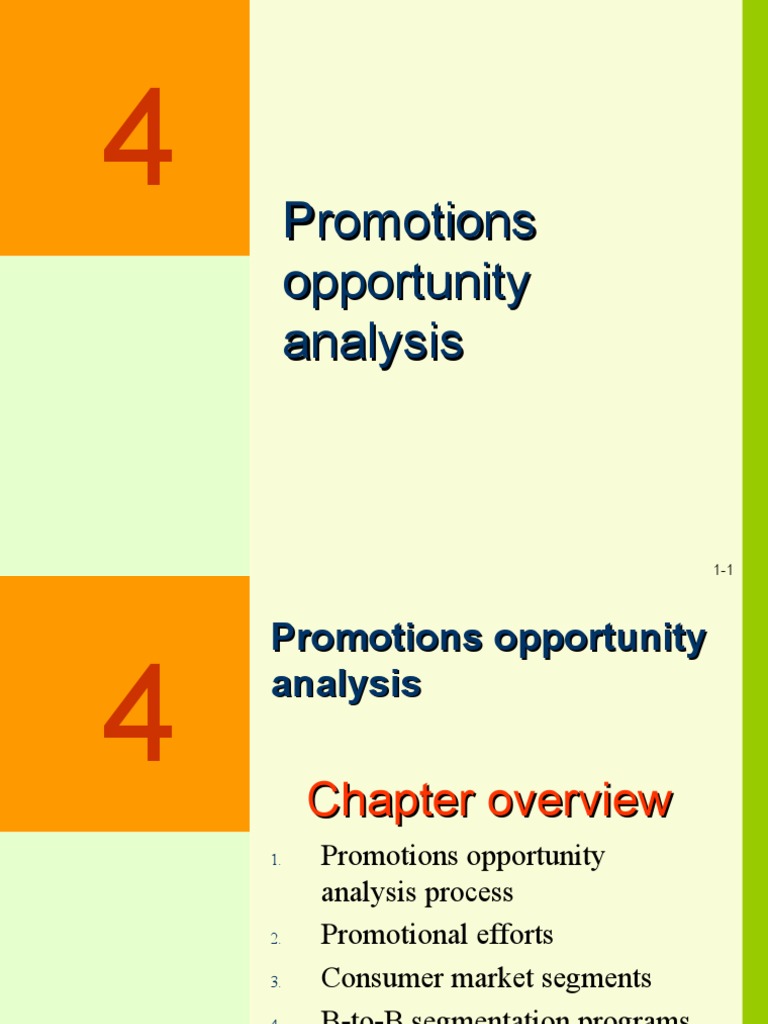 Promotion Opportunity Analysis | PDF | Market Segmentation | Marketing