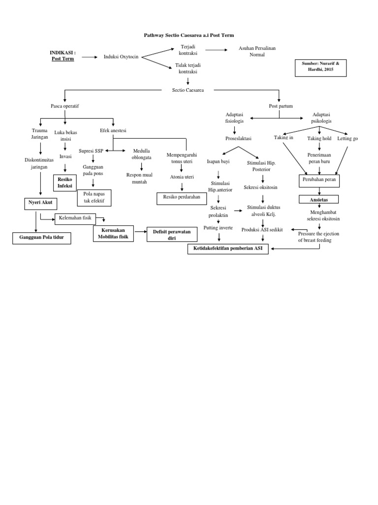 Pathway Sectio Caesarea | PDF