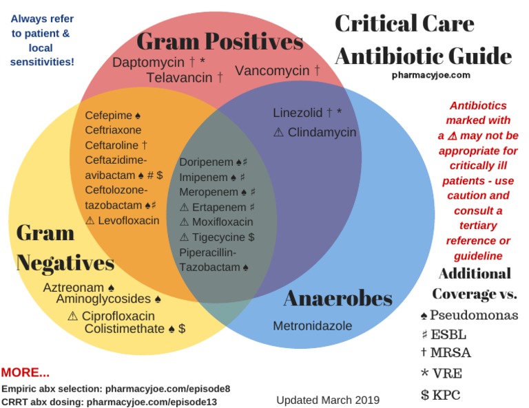 Antibiotic Coverage Guide for Gram Positives | PDF | Beta Lactamase ...