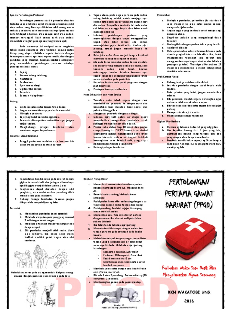 Leaflet PPGD | PDF