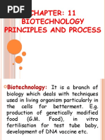 BIOTECHNOLOGY Principles & Processes | PDF | Plasmid | Restriction Enzyme