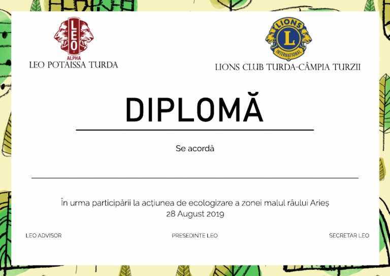 Voluntari Model Diploma | PDF