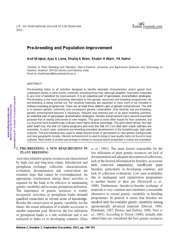 Pre Breeding | PDF | Plant Breeding | Wheat