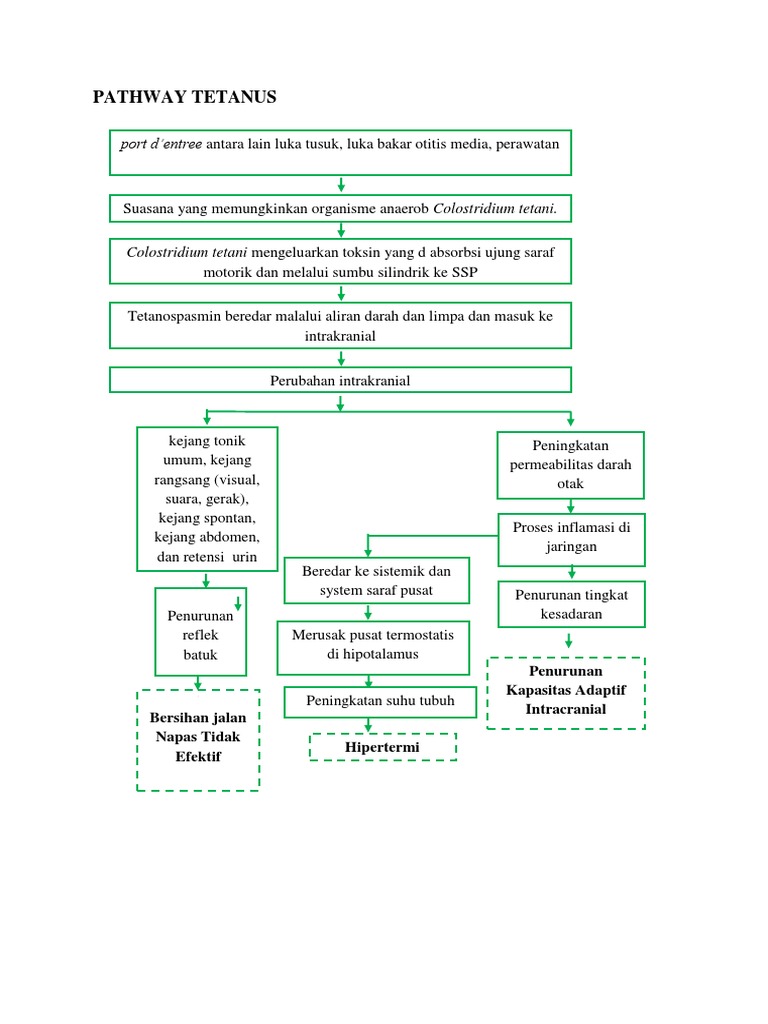 Pathway Tetanus dan Dampaknya | PDF