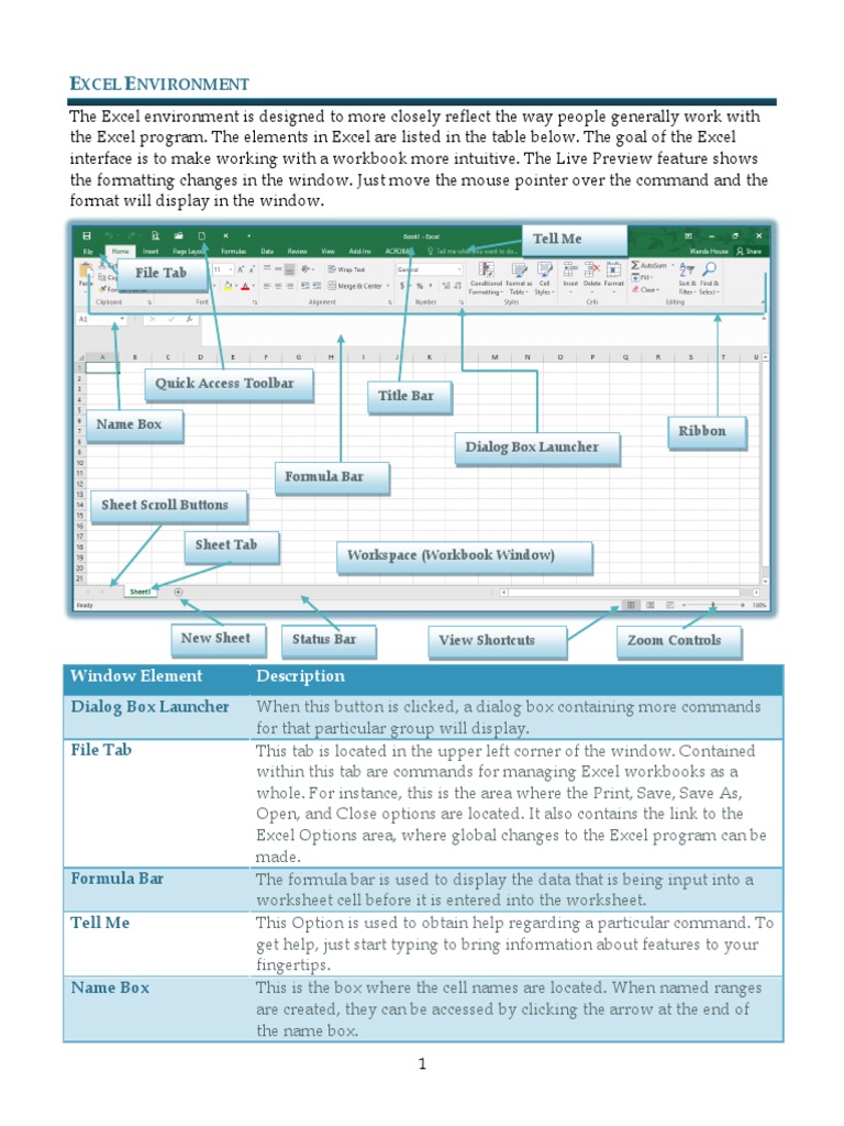 Excel Environment | PDF | Microsoft Excel | Human–Computer Interaction