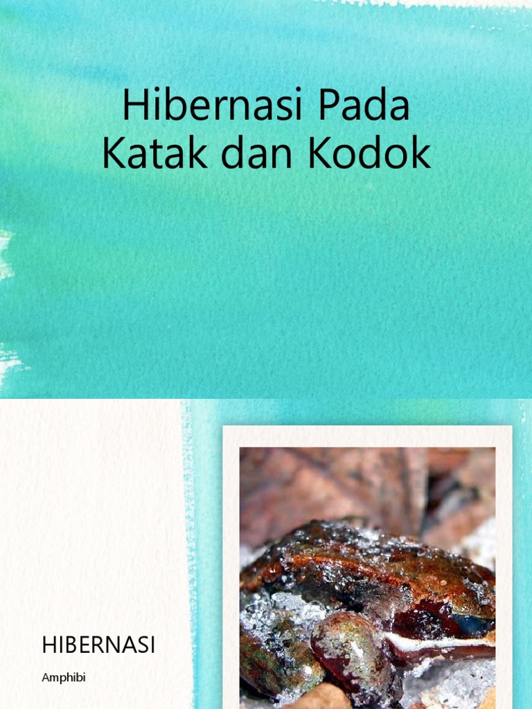 Hibernasi Pada Katak Dan Kodok | PDF