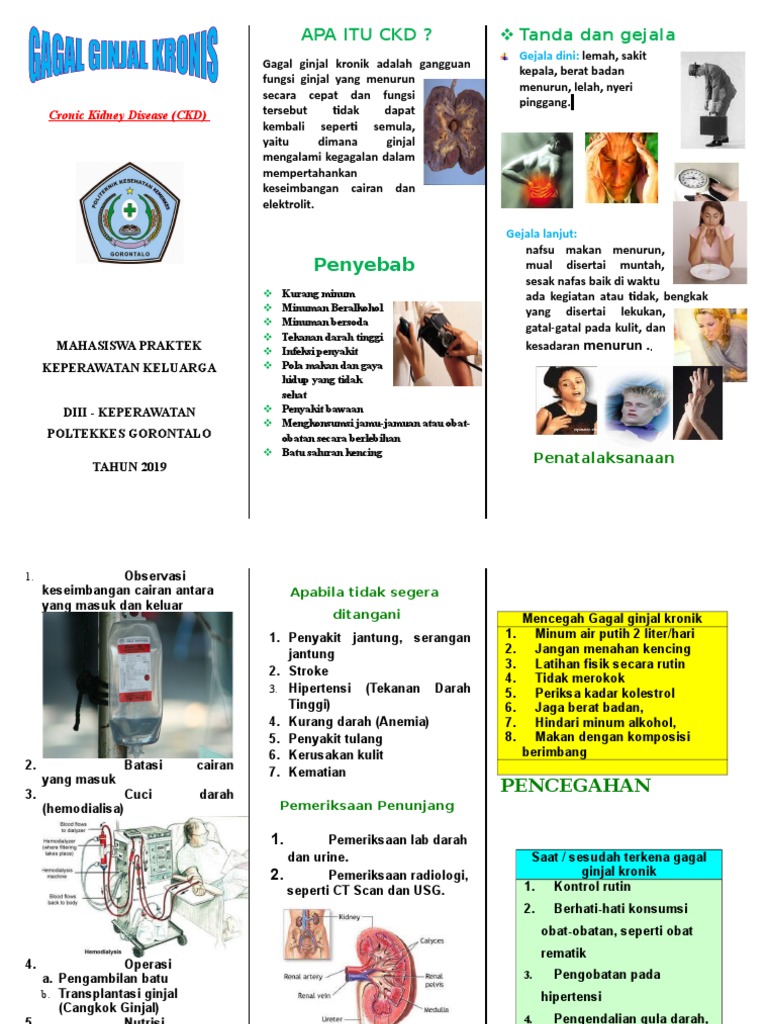 Leaflet CKD | PDF