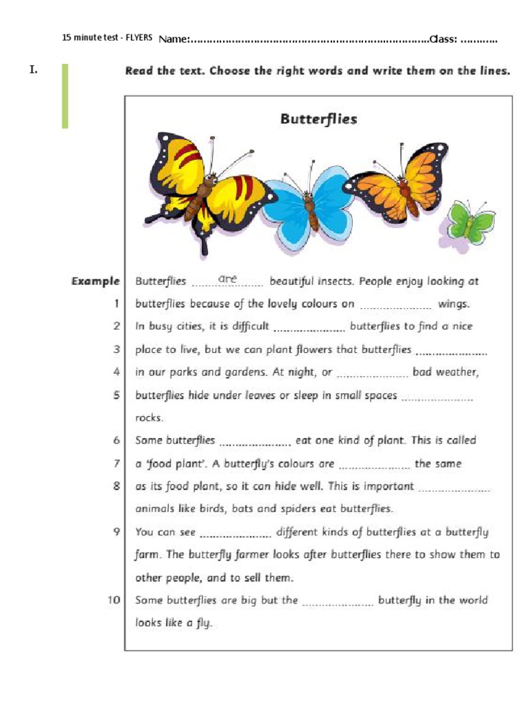 Fun For Flyers - 4th Edition Lesson Plan | PDF