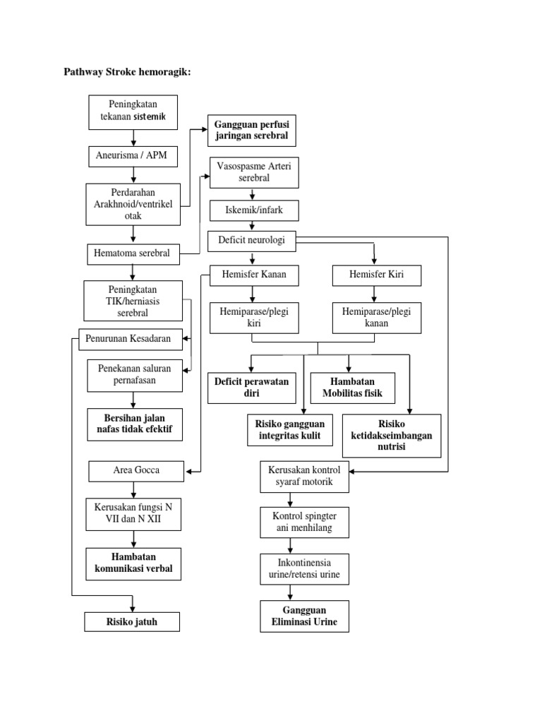 Pathway Stroke Hemoragik | PDF