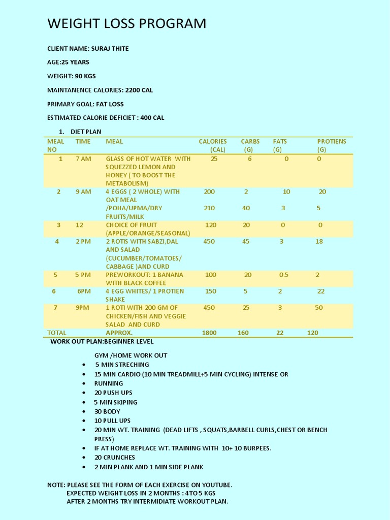 Weight Loss Program | PDF