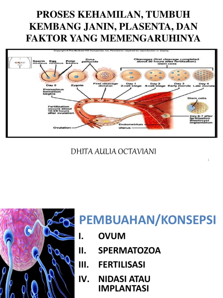 Fertilisasi Dan Nidasi | PDF