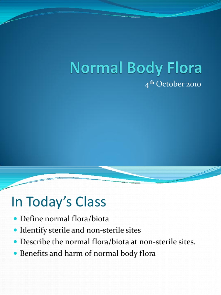 Normal Body Flora | Download Free PDF | Microbiota | Streptococcus