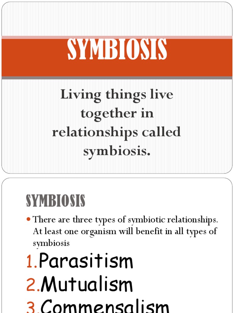 SYMBIOSIS Powerpoint | PDF