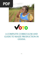 Cabbage Production JICA | PDF | Plant Nursery | Cabbage