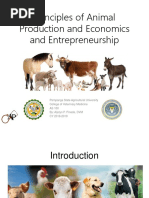 Introduction To Animal Production | PDF | Livestock | Poultry Farming