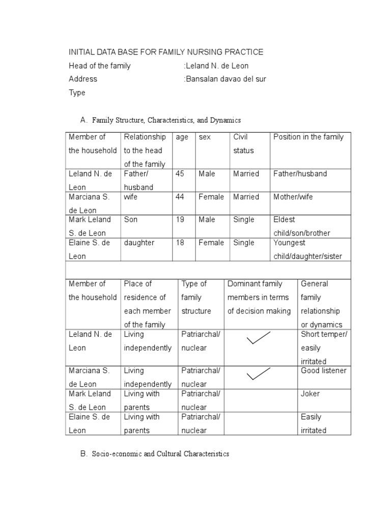 Initial Data Base For Family Nursing Practice | PDF | Bathroom | Health ...