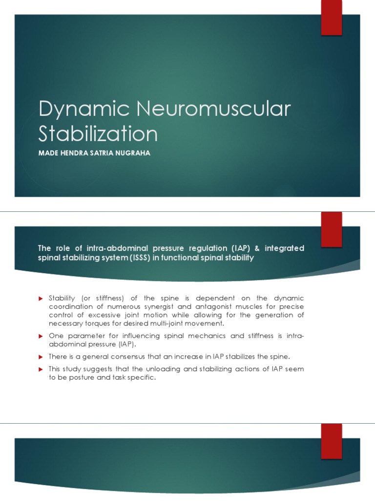 Dynamic Neuromuscular Stabilization | PDF | Abdomen | Pelvis