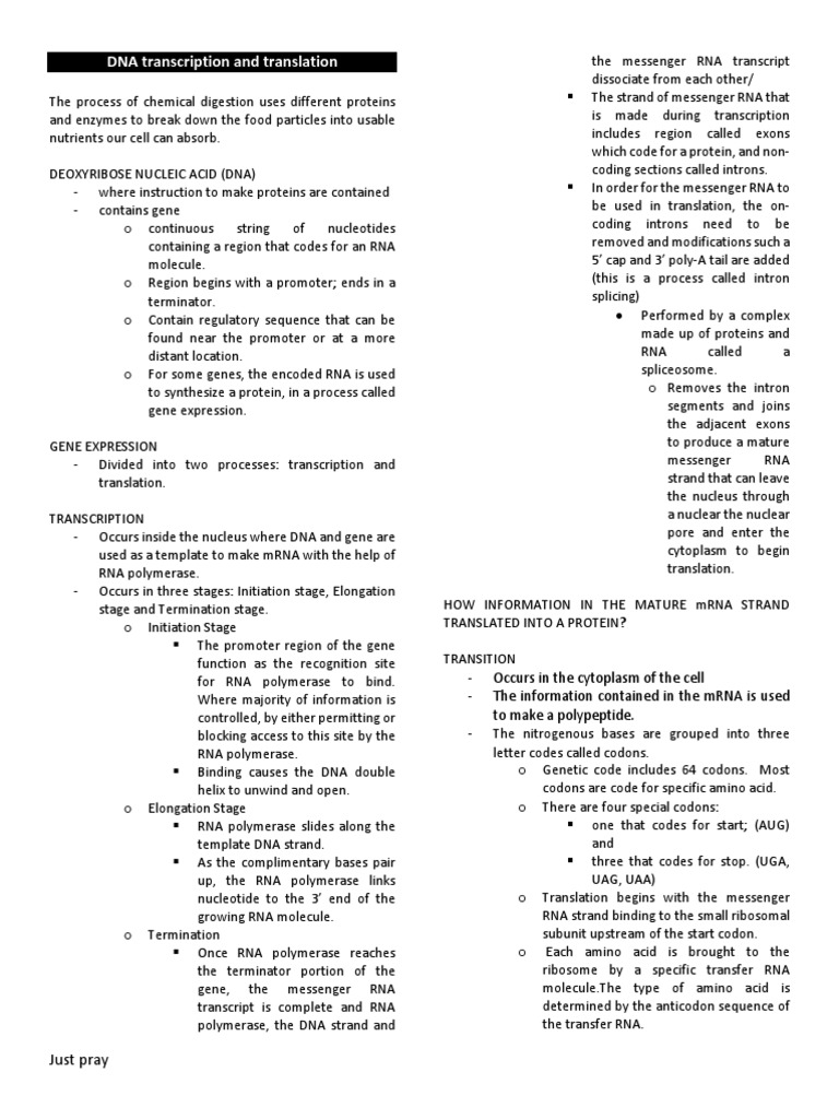 Dna Transcription Translation Guide Pdf Rna Translation Biology