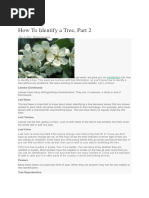 Tennessee Tree Identification Guide | PDF | Trees | Oak